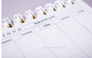 Daily Vs Weekly Planner 2022: Which Planner is Right for You? - Manymoon